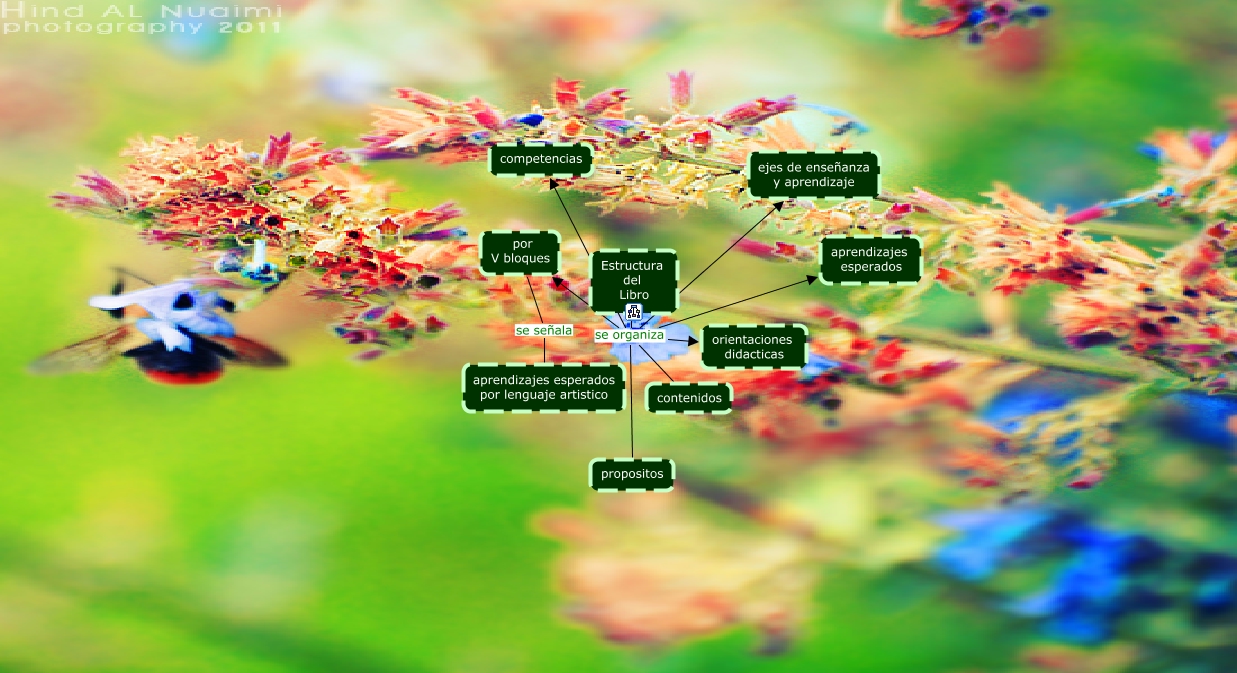 Estructura del libro